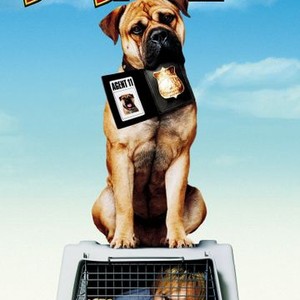 See Spot Run - Rotten Tomatoes