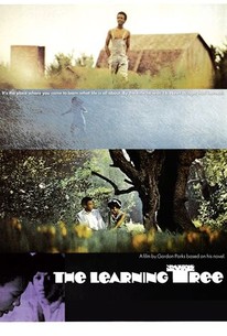 The Learning Tree (1969) - Rotten Tomatoes