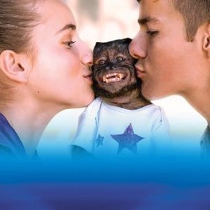 Gibby - Rotten Tomatoes