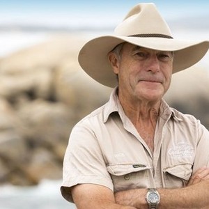 Desert Vet - Rotten Tomatoes