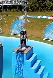 Total Wipeout: Season 5, Episode 10 | Rotten Tomatoes