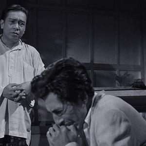 After the Curfew - Rotten Tomatoes