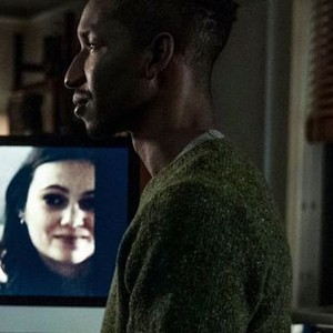 Archive 81 - Rotten Tomatoes