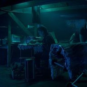 SpookT - Rotten Tomatoes