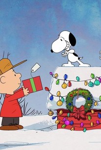 The Snoopy Show: Season 2, Episode 13 | Rotten Tomatoes
