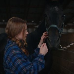 They Don't Cast Shadows - Rotten Tomatoes