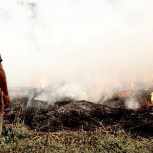 The Red Land - Rotten Tomatoes