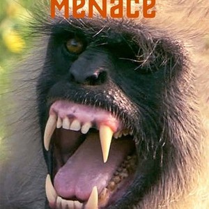 Monkey Menace - Rotten Tomatoes
