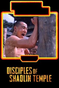 Disciples of Shaolin Temple | Rotten Tomatoes