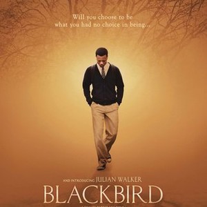 Blackbird (2015) - Rotten Tomatoes