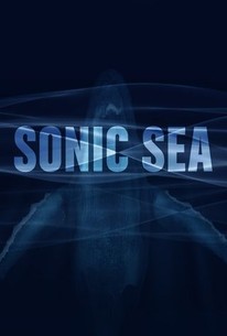Sonic Sea - Movie Reviews | Rotten Tomatoes