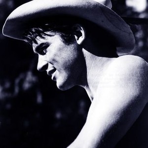 Johnny Tiger - Rotten Tomatoes