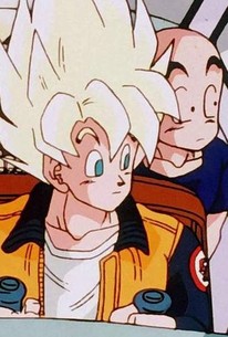 Dragon Ball Z: Season 6, Episode 172 | Rotten Tomatoes