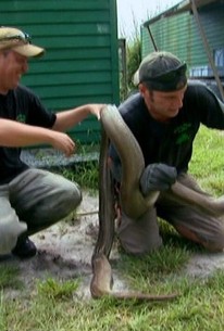 Swamp Brothers: Season 1, Episode 21 | Rotten Tomatoes