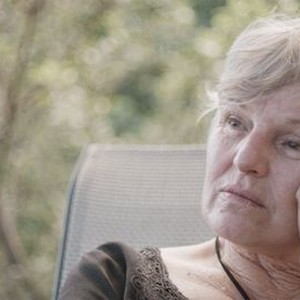 Plan C - Rotten Tomatoes