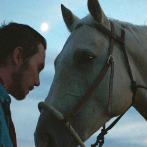 Brady Jandreau - Rotten Tomatoes