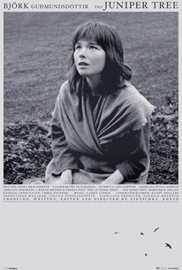 Juniper Tree | Rotten Tomatoes