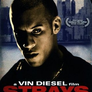 Strays - Rotten Tomatoes