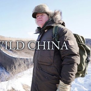Wild China - Rotten Tomatoes