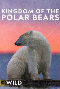Kingdom of the Polar Bears: Season 1 | Rotten Tomatoes