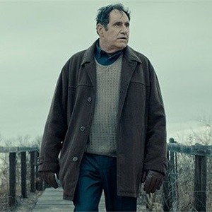 Auggie (2019) - Rotten Tomatoes