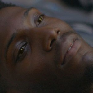 Cicada - Rotten Tomatoes