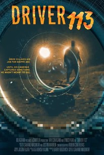 Driver 113 | Rotten Tomatoes
