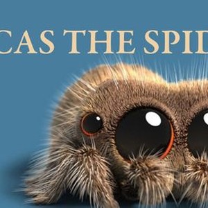 Lucas the Spider - Rotten Tomatoes