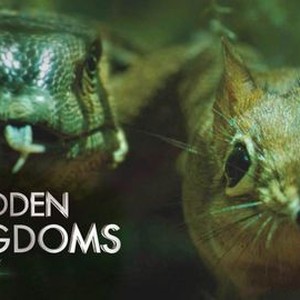 Hidden Kingdoms - Rotten Tomatoes