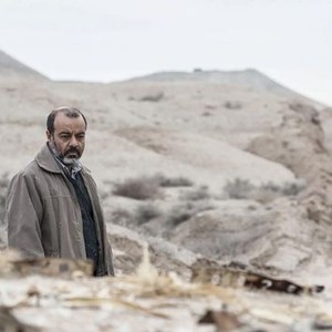 Arvand - Rotten Tomatoes