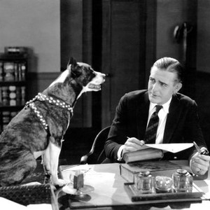 Rotten Tomatoes: Movies | TV Shows | Movie Trailers | Reviews - Rotten ...