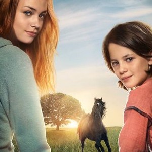 Windstorm 4: Ari's Arrival - Rotten Tomatoes