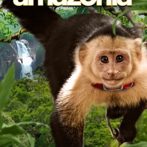 Amazonia - Rotten Tomatoes