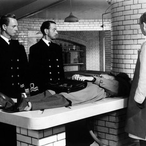 Robert Flemyng - Rotten Tomatoes