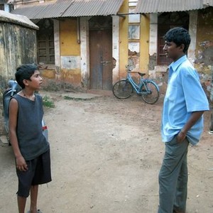 The Pool - Rotten Tomatoes