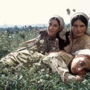 Rosalind Harris - Rotten Tomatoes