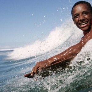 Splinters - Rotten Tomatoes