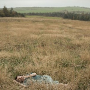 Maudie - Rotten Tomatoes