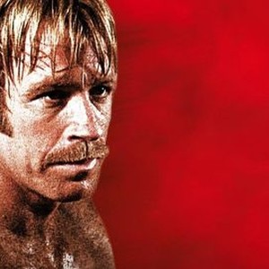 The Octagon - Rotten Tomatoes