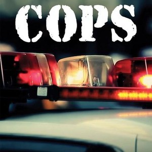 Cops: Season 29, Episode 18 - Rotten Tomatoes