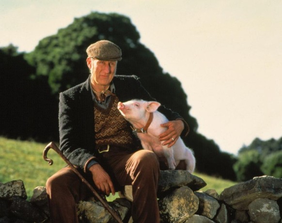 James Cromwell