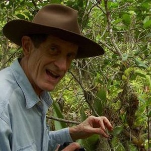 In the Americas With David Yetman: Season 1, Episode 5 - Rotten Tomatoes