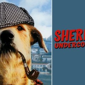 Sherlock Bones, Undercover Dog - Rotten Tomatoes