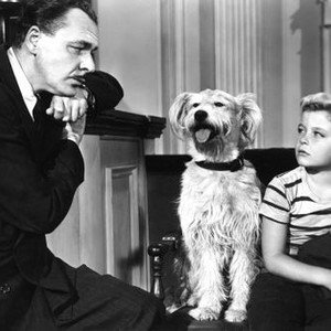 Larry Olsen - Rotten Tomatoes