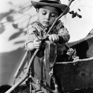 Billy Lee - Rotten Tomatoes