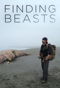 Finding Beasts | Rotten Tomatoes