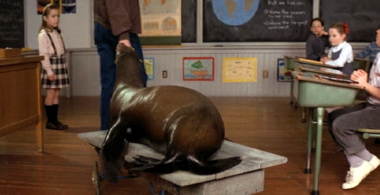 Andre - Rotten Tomatoes