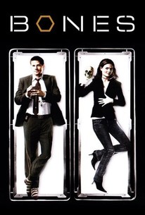 Bones: Season 2 | Rotten Tomatoes