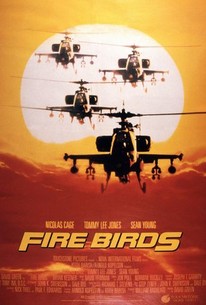 Fire Birds | Rotten Tomatoes