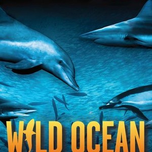 Wild Ocean - Rotten Tomatoes